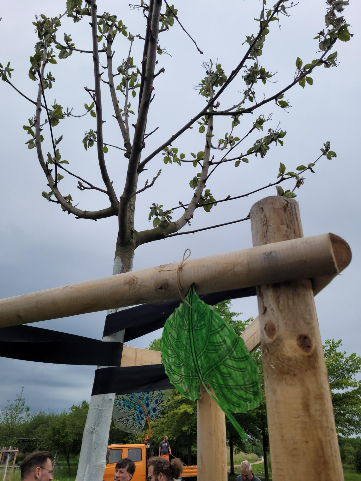 Baum des Jahres 2024 – Schule am Gutspark Paunsdorf